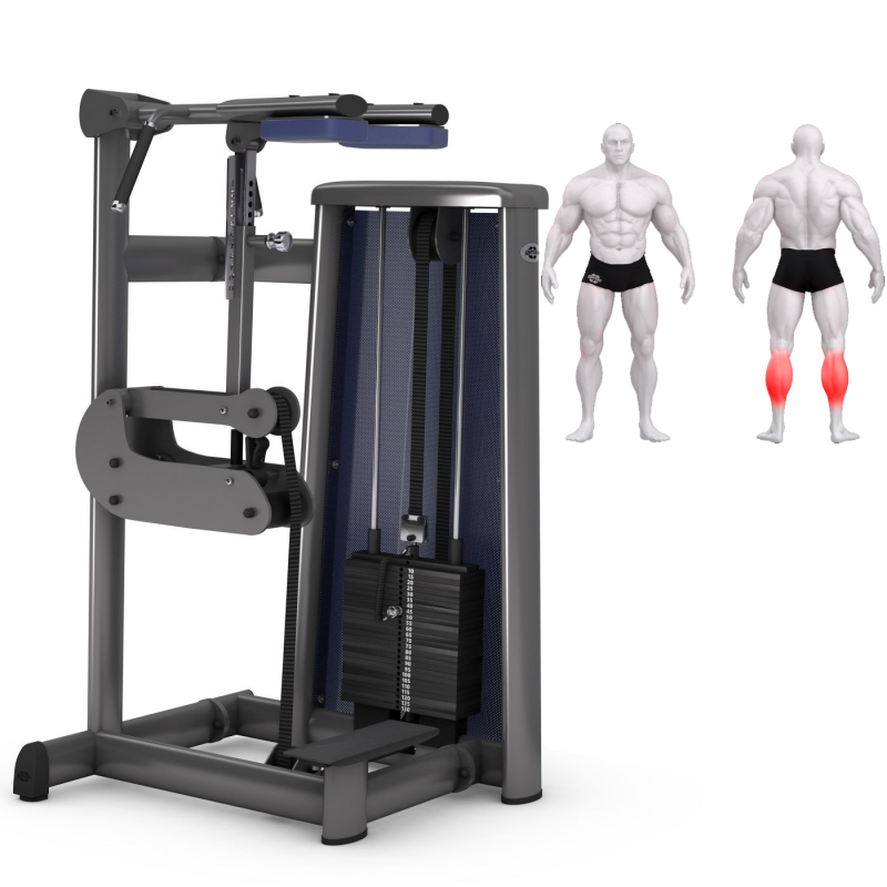 Купить Гомілка машина Gym80 SYGNUM Standing Calf Machine в Украине. Gym80